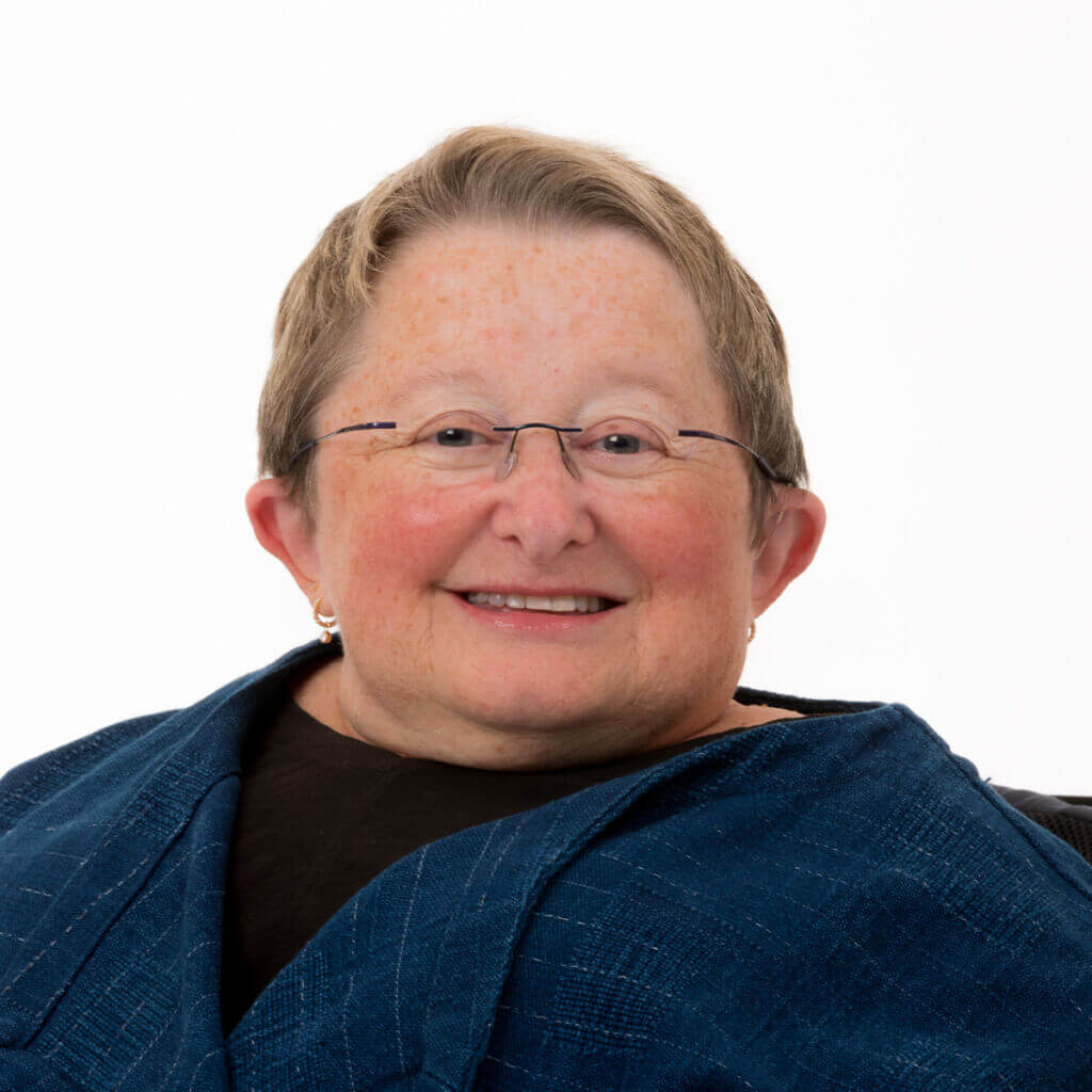 APA National Conference - Accessibility Professionals Association